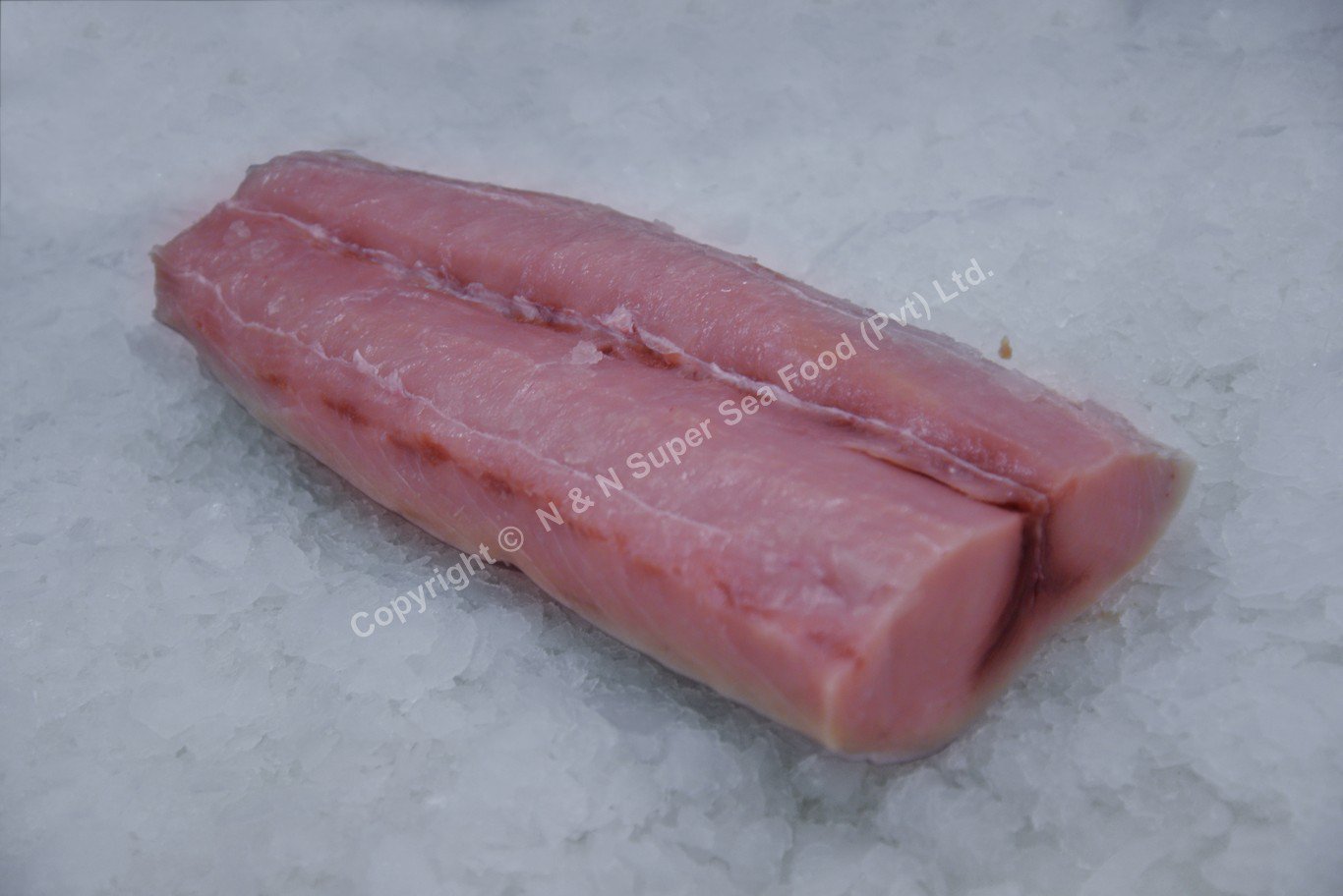N & N Super Sea Food - Tuna, Sword Fish and Exotic Fish Exporters